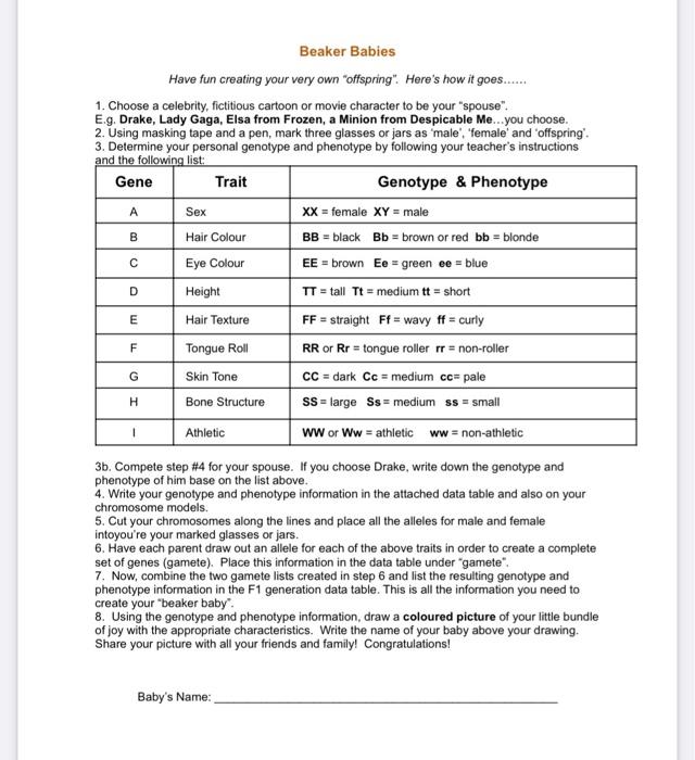 Solved Trait А B с D Beaker Babies Have fun creating your | Chegg.com