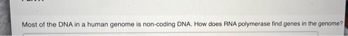 Solved Most of the DNA in a human genome is non-coding DNA. | Chegg.com