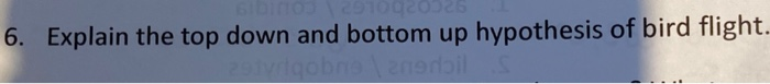 Solved no 2910920025 6. Explain the top down and bottom up | Chegg.com