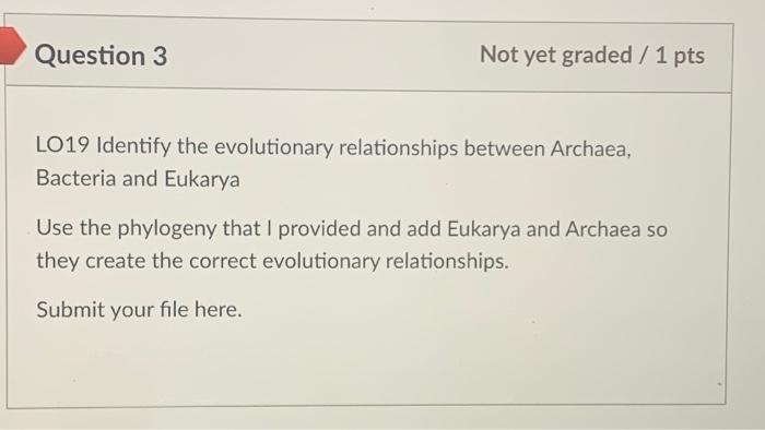Solved LO19 Identify the evolutionary relationships | Chegg.com