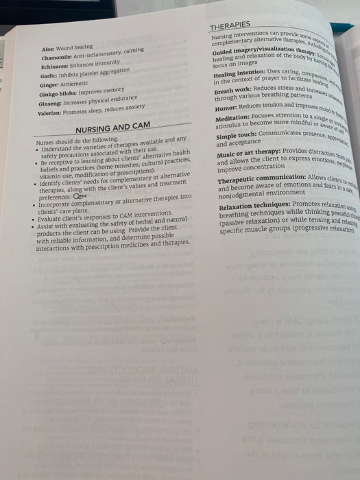 Solved ADVANCE DIRECTIVES ACTIVE LEARNING TEMPLATE Basic | Chegg.com