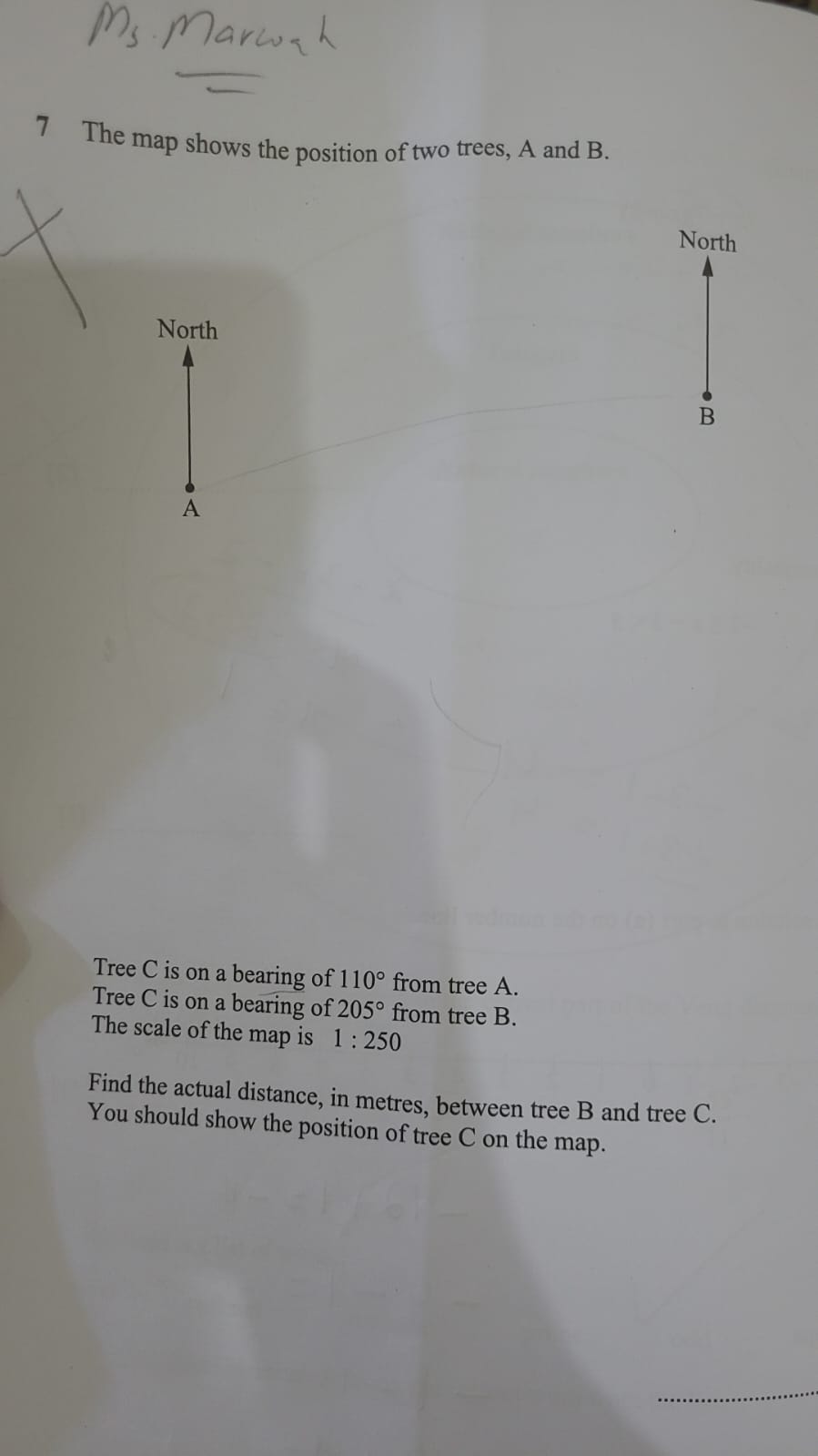 Solved 7 ﻿The map shows the position of two trees, A and | Chegg.com