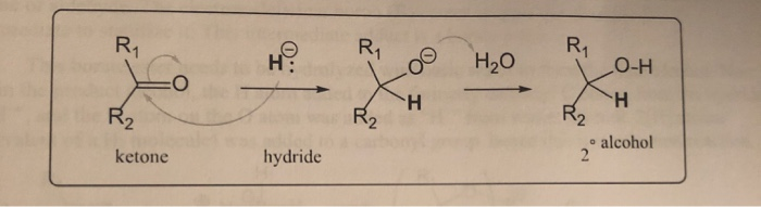 Solved R1 RA R1 H: H2O O-H H R2 R₂ H R2 • alcohol 2 ketone | Chegg.com