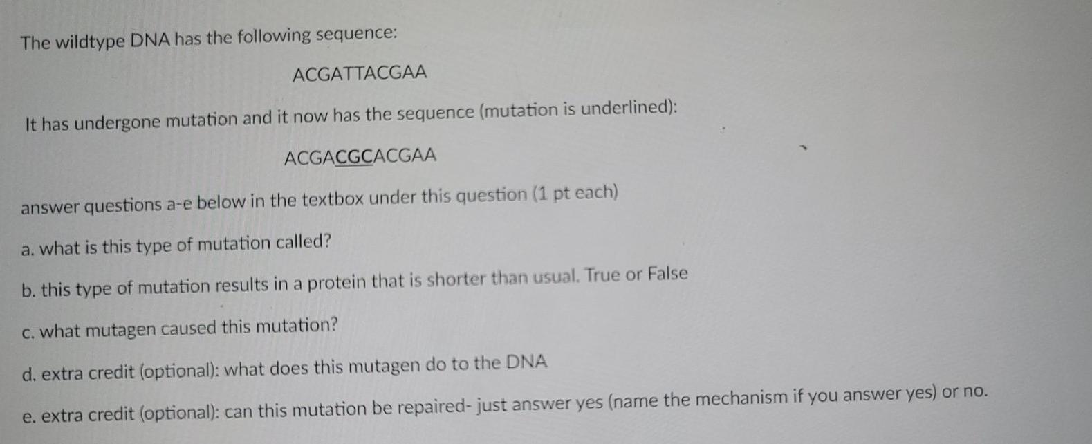Solved The wildtype DNA has the following sequence: | Chegg.com