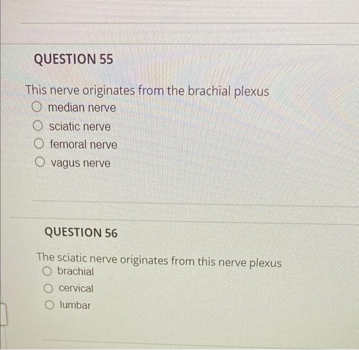 Solved QUESTION 51 Decussation of most motor spinal nerve | Chegg.com