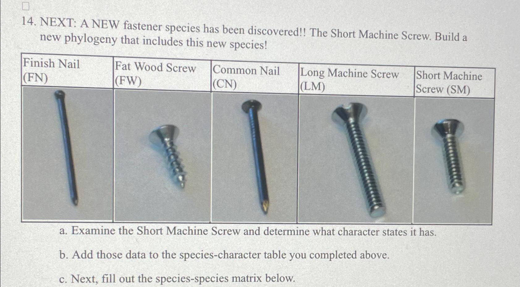 Solved NEXT: A NEW fastener species has been discovered!! | Chegg.com