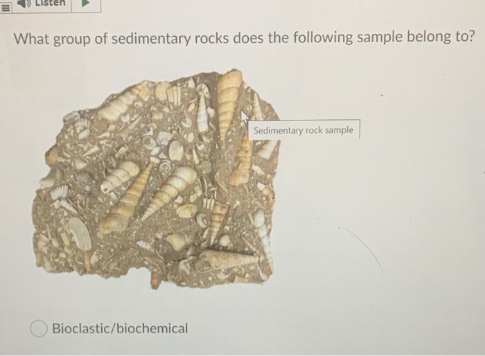 Solved What group of sedimentary rocks does the following | Chegg.com