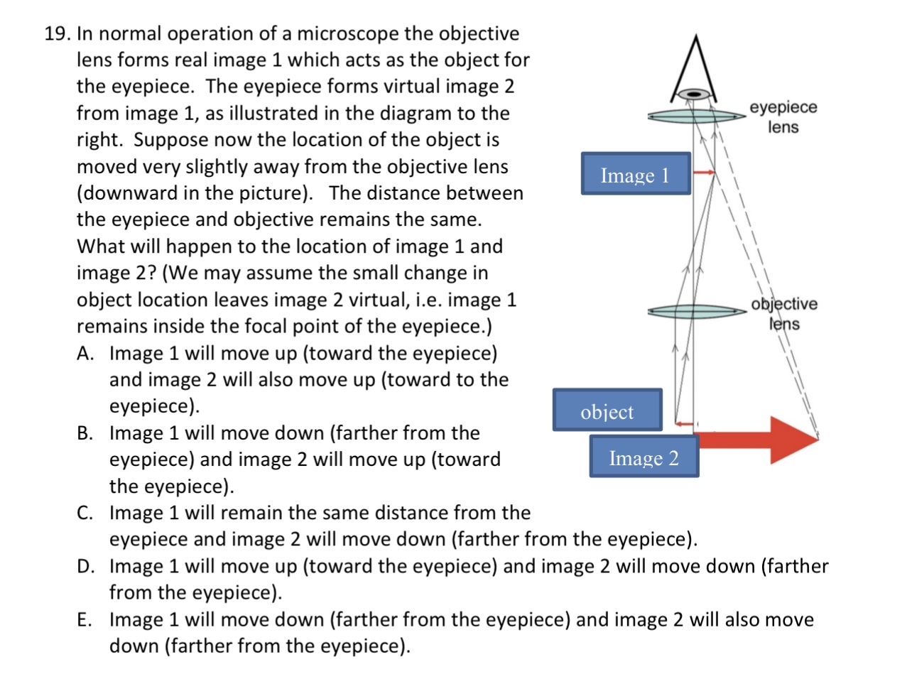In normal operation of a microscope the objective | Chegg.com