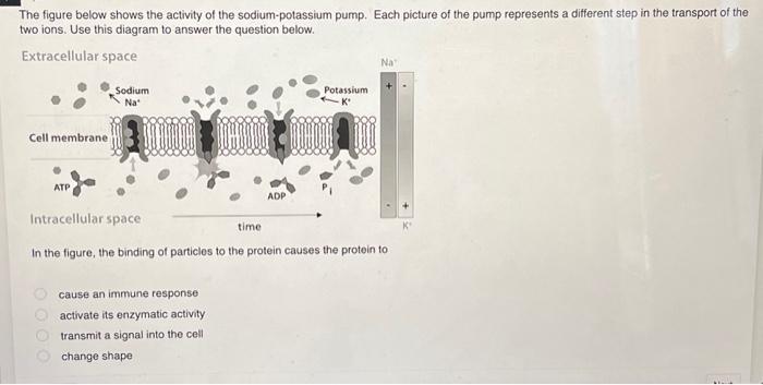 Solved The figure below shows the activity of the | Chegg.com