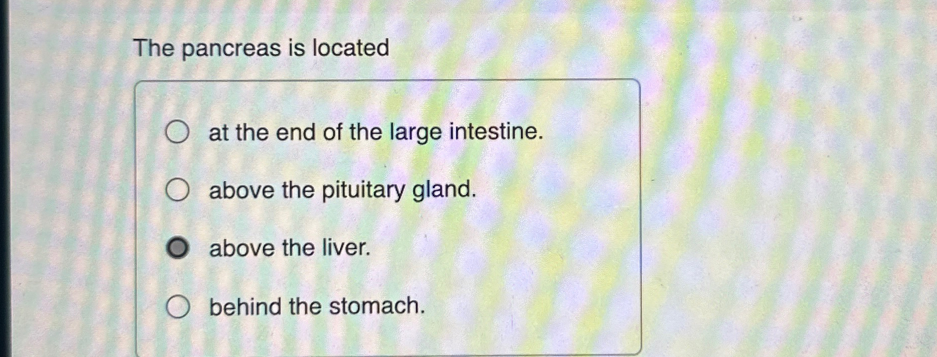 Solved The pancreas is locatedat the end of the large | Chegg.com