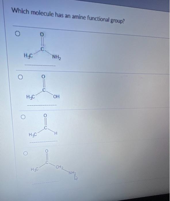 Solved Which molecule has an amine functional group? | Chegg.com