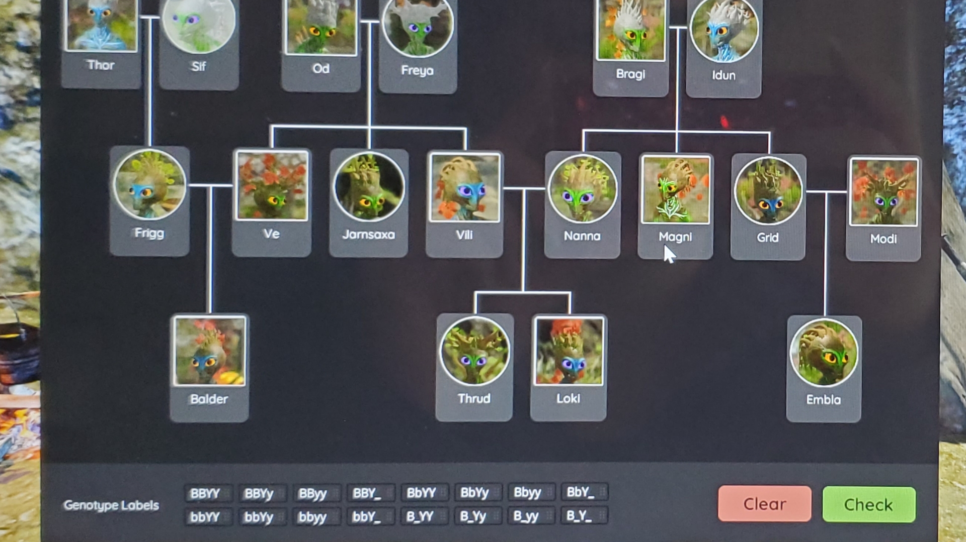 Solved Pedigree AnalysisThorFriggGenotype | Chegg.com