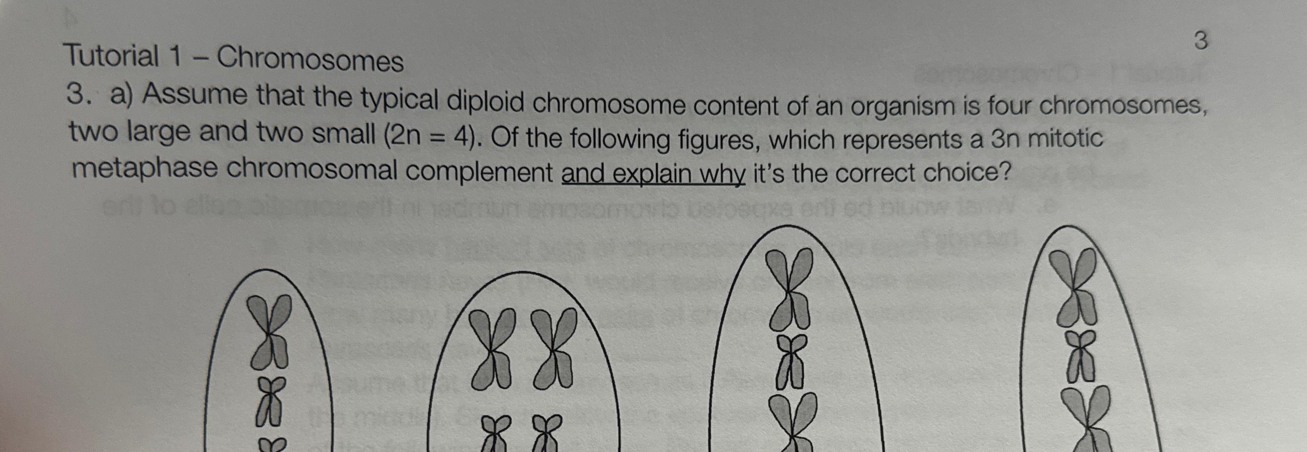 Solved Tutorial 1 - ﻿Chromosomes33. ﻿a) ﻿Assume that the | Chegg.com