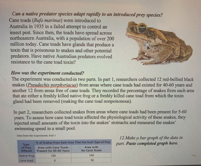 Solved Can a native predator species adapt rapidly to an | Chegg.com