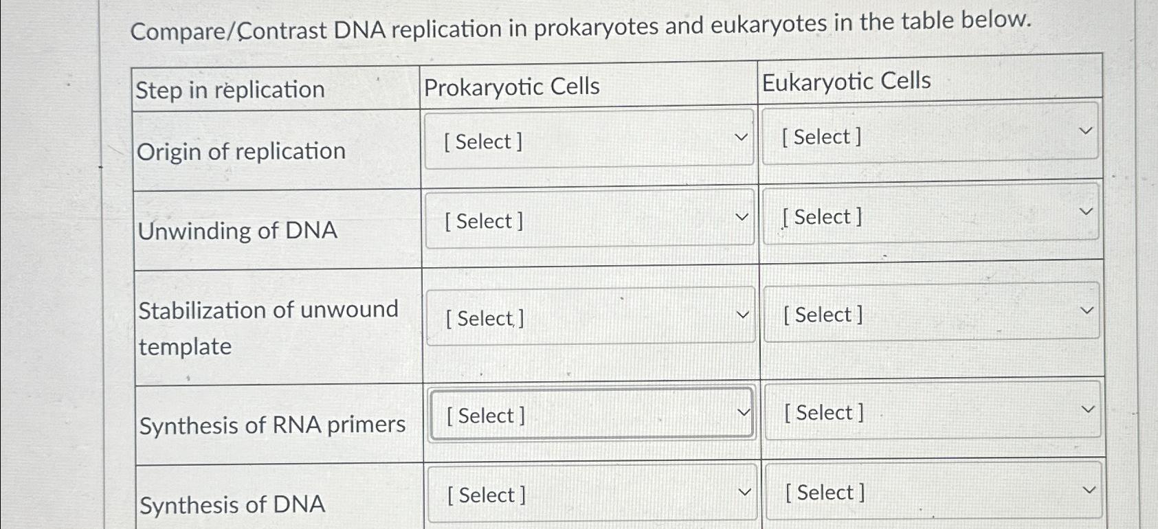 Solved Compare/Contrast DNA replication in prokaryotes and | Chegg.com
