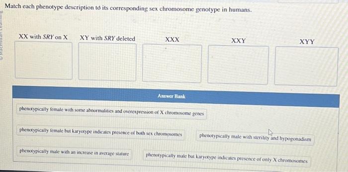 Solved Match each phenotype description to its corresponding | Chegg.com