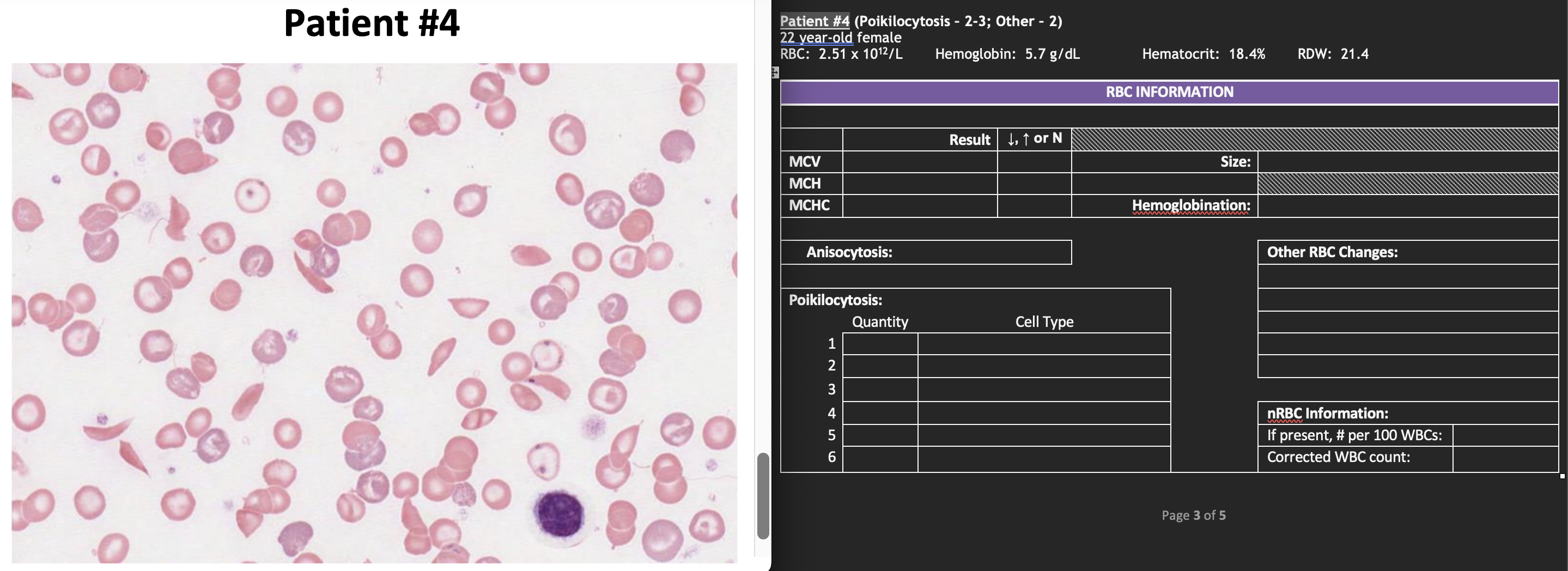Solved Complete an RBC ﻿Morphology Scan for the patient. For | Chegg.com