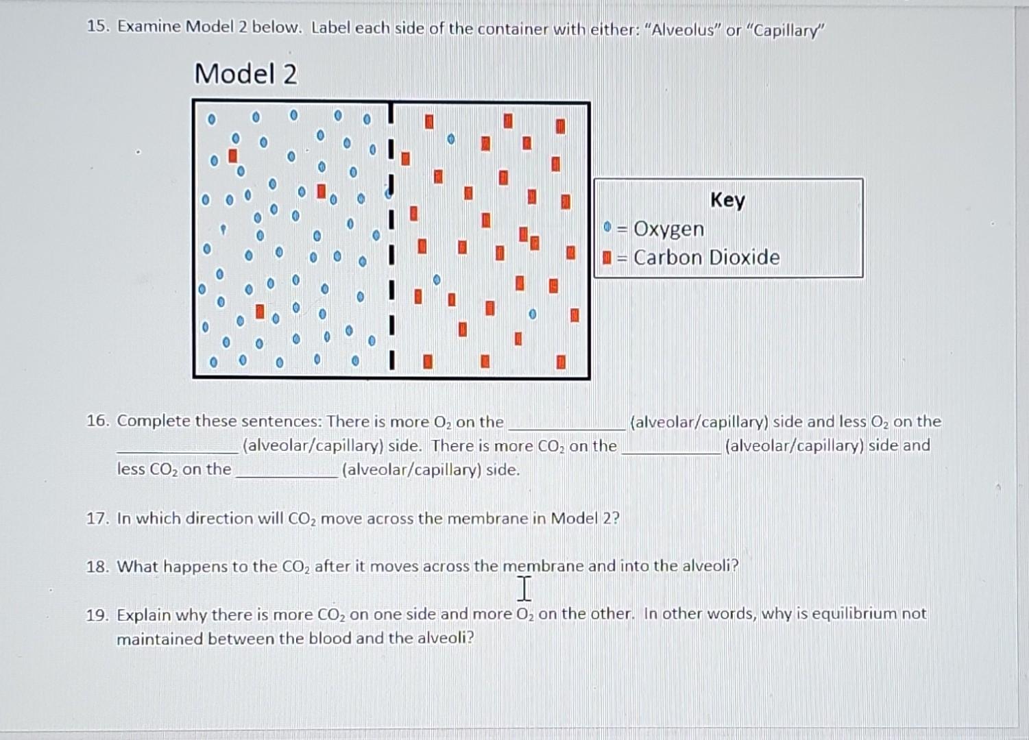 Solved 15. Examine Model 2 below. Label each side of the | Chegg.com