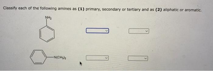 Solved Classify each of the following amines as (1) primary, | Chegg.com