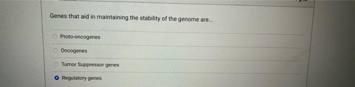 Solved Genes that aid in maintaining the stability of the | Chegg.com