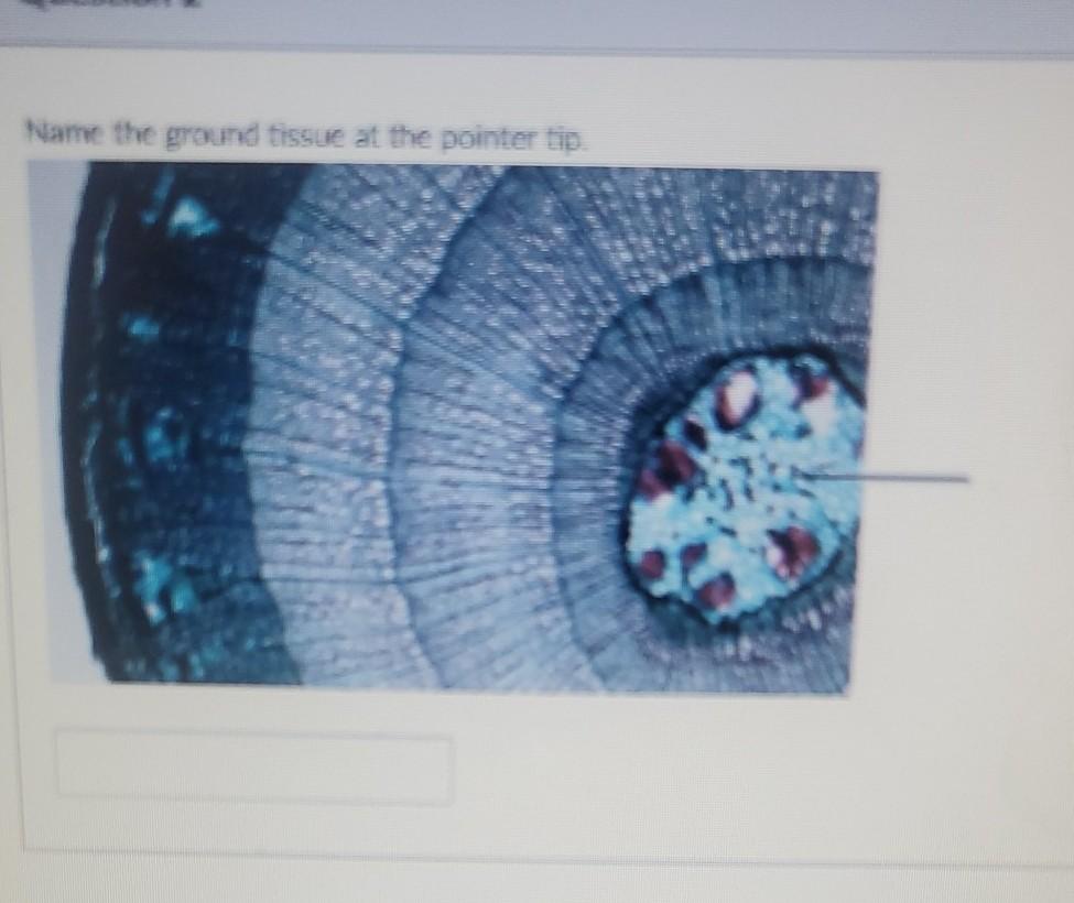 Solved Old MathJax webview | Chegg.com