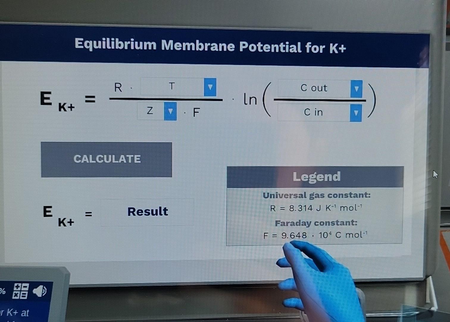 Solved Equilibrium Membrane Potential for K+ | Chegg.com