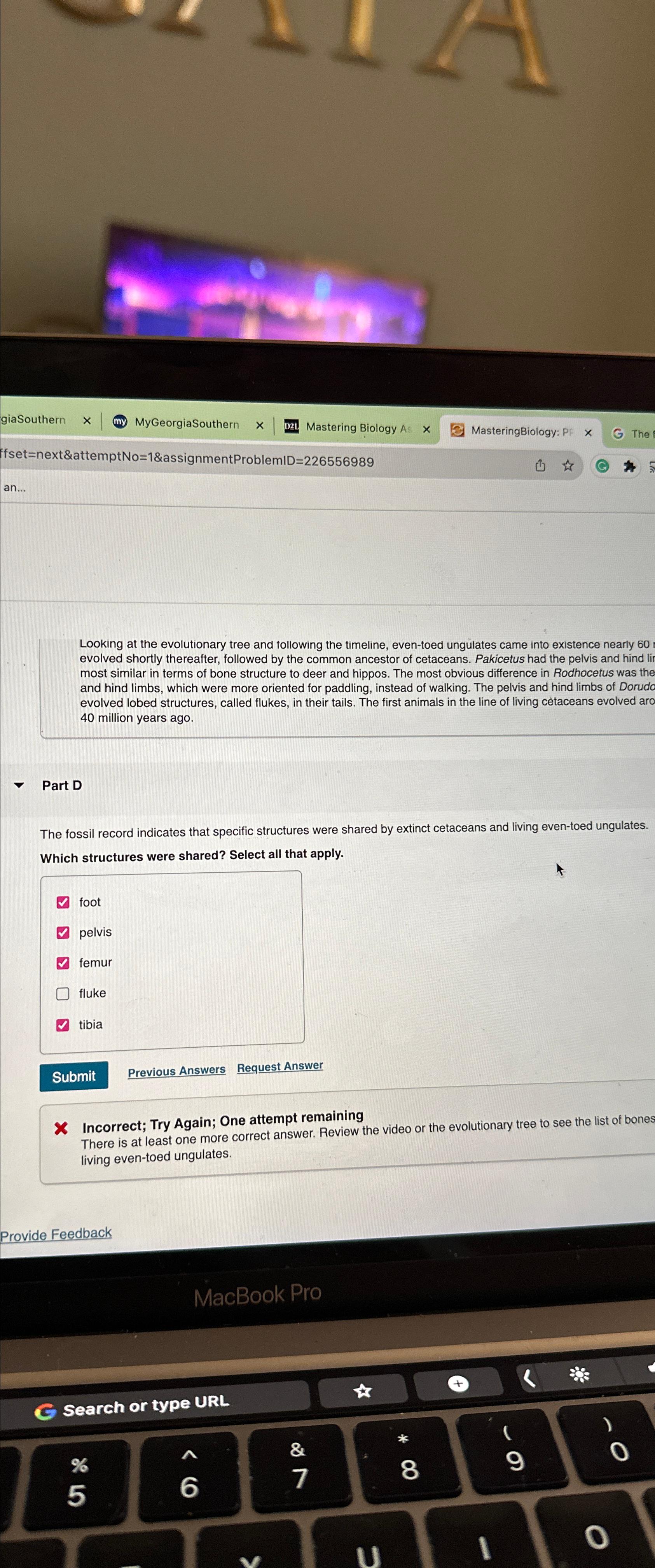 Solved ffset=next&attemptNo=1&assignmentProblemID | Chegg.com