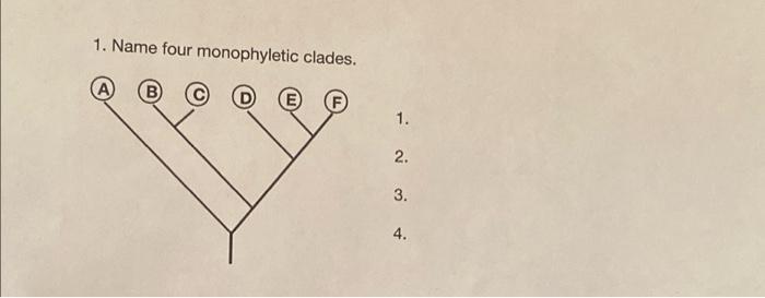 Solved 1. Name four monophyletic clades. A 1. 2. 3. 4. | Chegg.com Solved 1. Name four monophyletic clades. A 1. 2. 3. 4. | Chegg.com