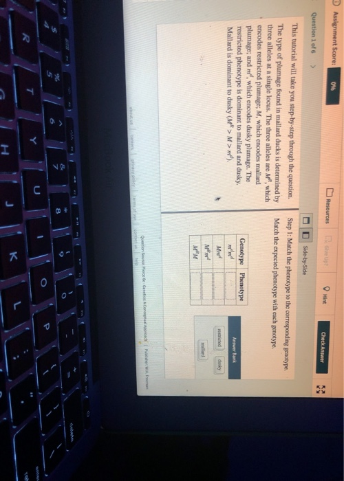 Solved D Assignment Score 0% Resources Hint Check Answer | Chegg.com
