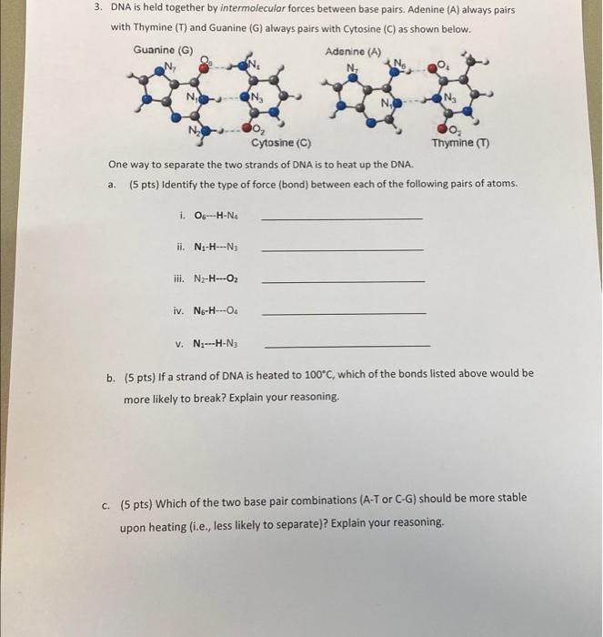 Solved 3. DNA is held together by intermolecular forces | Chegg.com