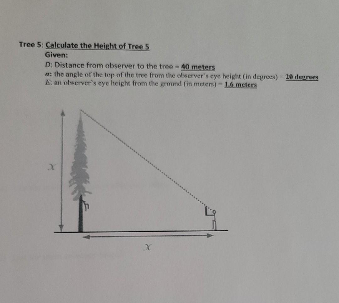 Solved Tree 5: Calculate the Height of Tree 5 Given: D: | Chegg.com