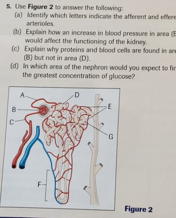 Solved Use Figure 2 ﻿to answer the following:(a) ﻿Identify | Chegg.com