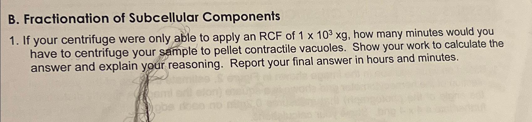 Solved B. ﻿Fractionation of Subcellular ComponentsIf your | Chegg.com