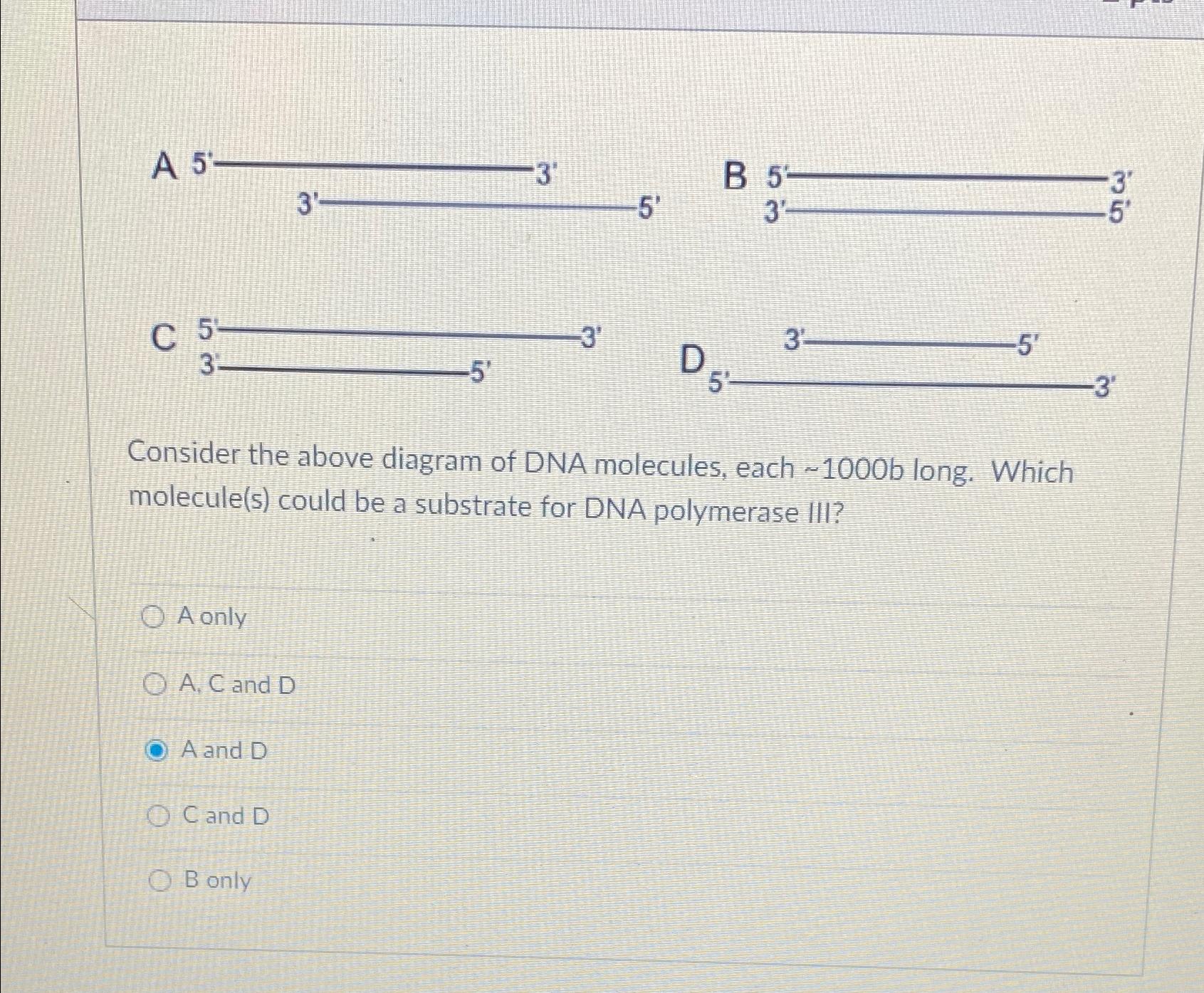 Solved ABC5 3'3 5'D5'3Consider the above diagram of DNA | Chegg.com | Chegg.com