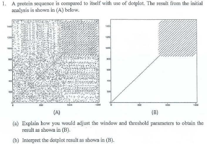 Solved A protein sequence is compared to itself with use of | Chegg.com