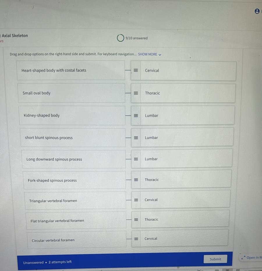 Solved Axial Skeleton9/10 ﻿answeredDrag and drop options on | Chegg.com