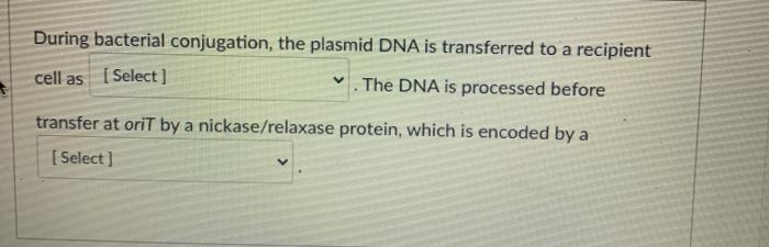 Solved During bacterial conjugation, the plasmid DNA is | Chegg.com