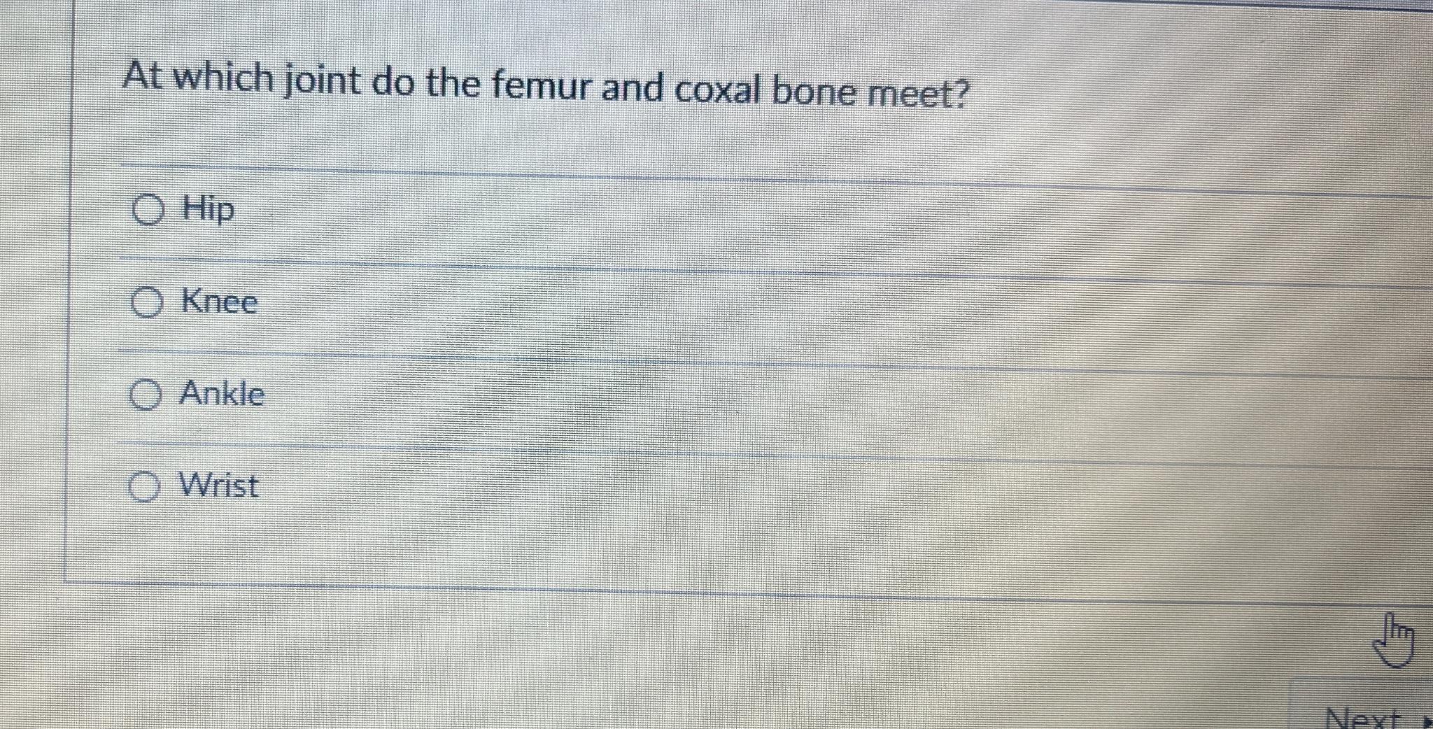 Solved At which joint do the femur and coxal bone | Chegg.com