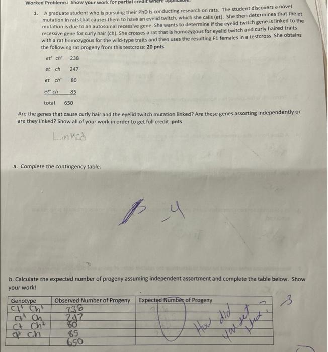 Solved help ! | Chegg.com