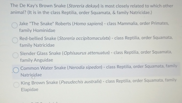 Solved The De Kay's Brown Snake (Storeria dekayi) ﻿is most | Chegg.com