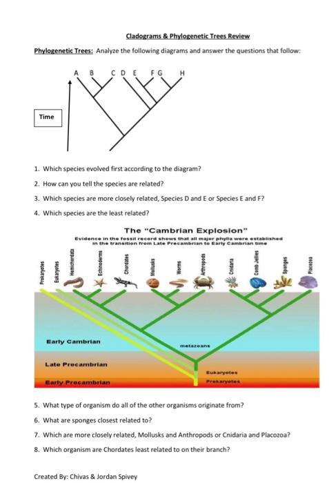 Solved Cladograms & Phylogenetic Trees Review Phylogenetic | Chegg.com
