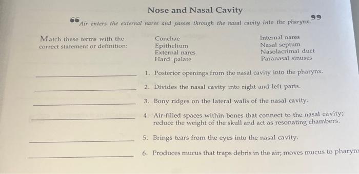 Solved Nose and Nasal Cavity 1. Posterior openings from the | Chegg.com