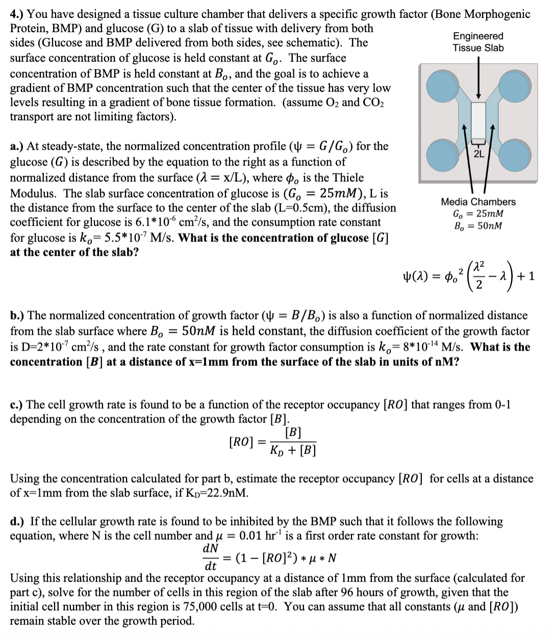 Solved 4.Go. ﻿The surfaceconcentration of BMP is ﻿held | Chegg.com