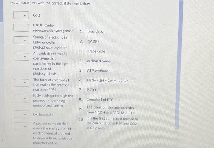 Solved Match each item with the correct statement below. ¡¡¡ | Chegg.com
