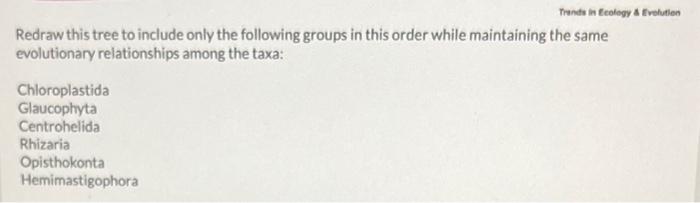 Solved Redraw this tree to include only the following groups | Chegg.com