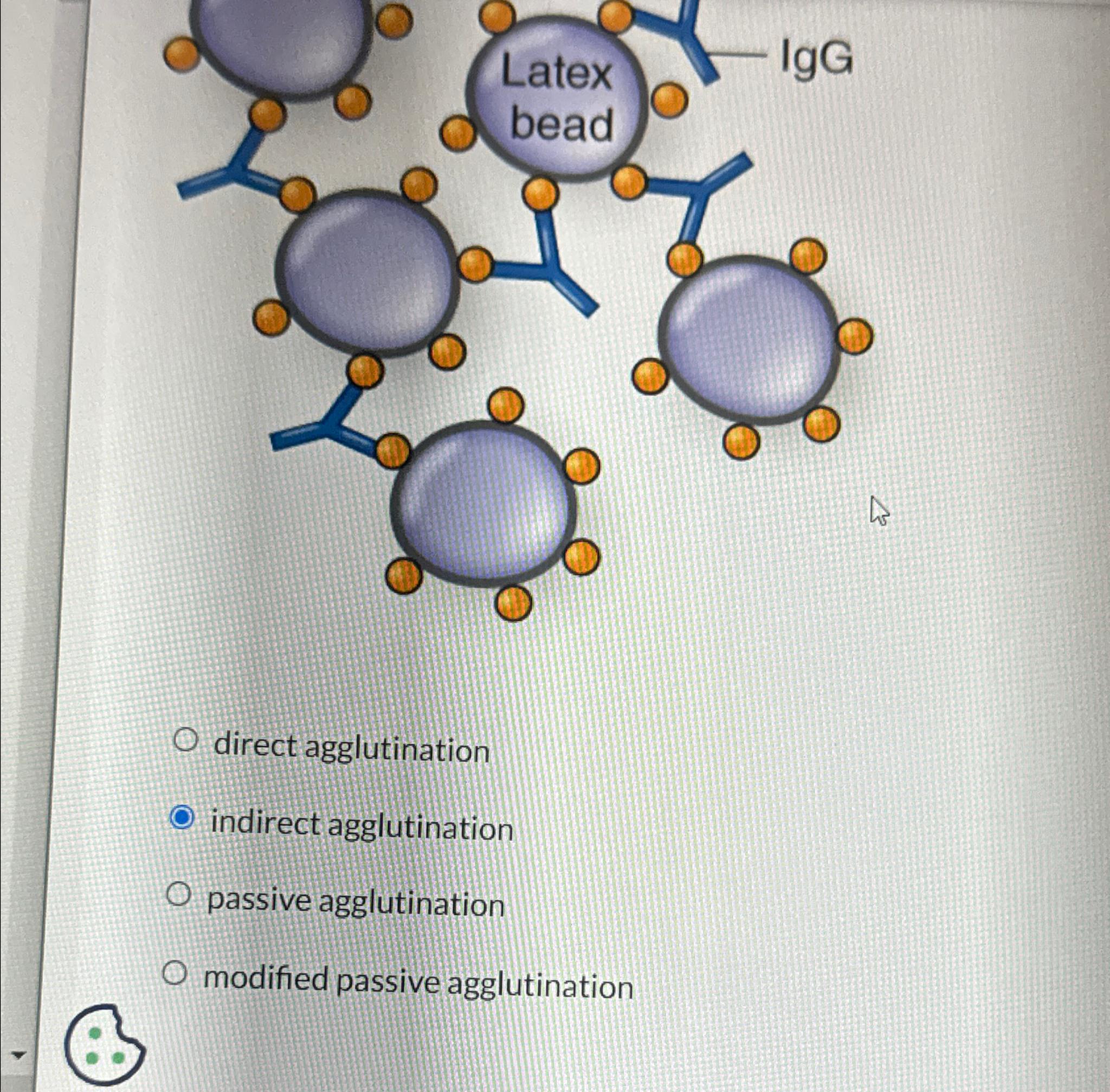 Solved direct agglutinationindirect agglutinationpassive | Chegg.com