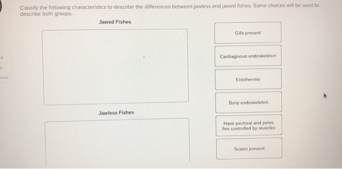 Solved Classify the following characteristics to describe | Chegg.com