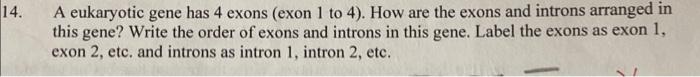 14. A eukaryotic gene has 4 exons (exon 1 to 4). How | Chegg.com