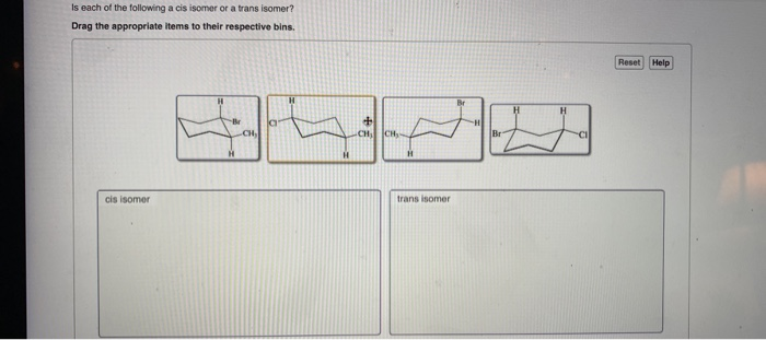 Solved Is each of the following a cis isomer or a trans | Chegg.com