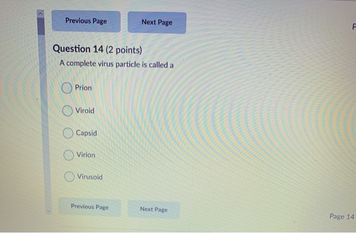 Solved Previous Page Next Page Question 14 (2 points) A | Chegg.com